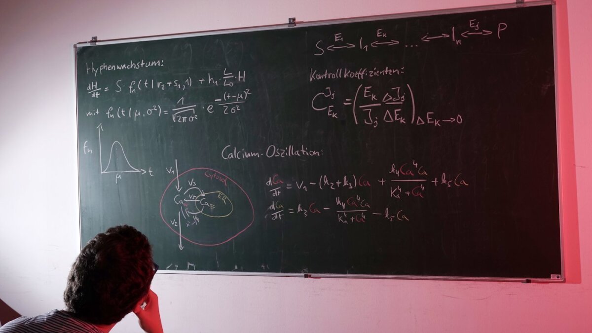 Mathematical Biology 1