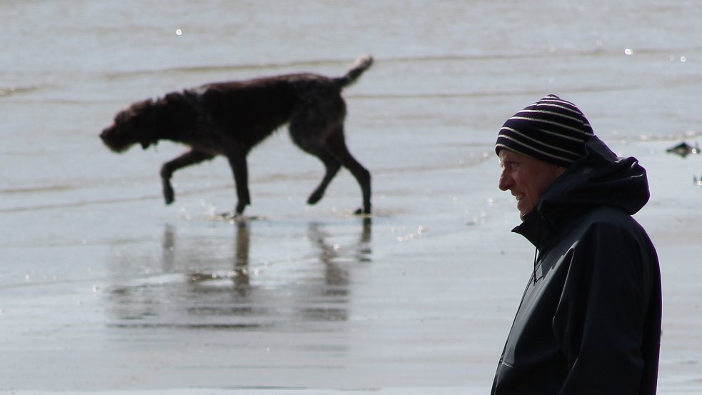 Prof. Dr. Dr. h. c. Martin S. Fischer